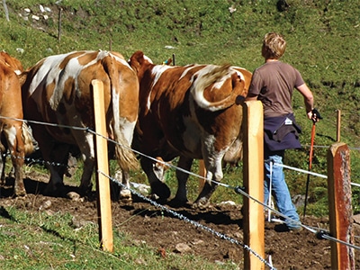 Agricultural - Switches for Agriculture Applications - E-Switch, Inc.