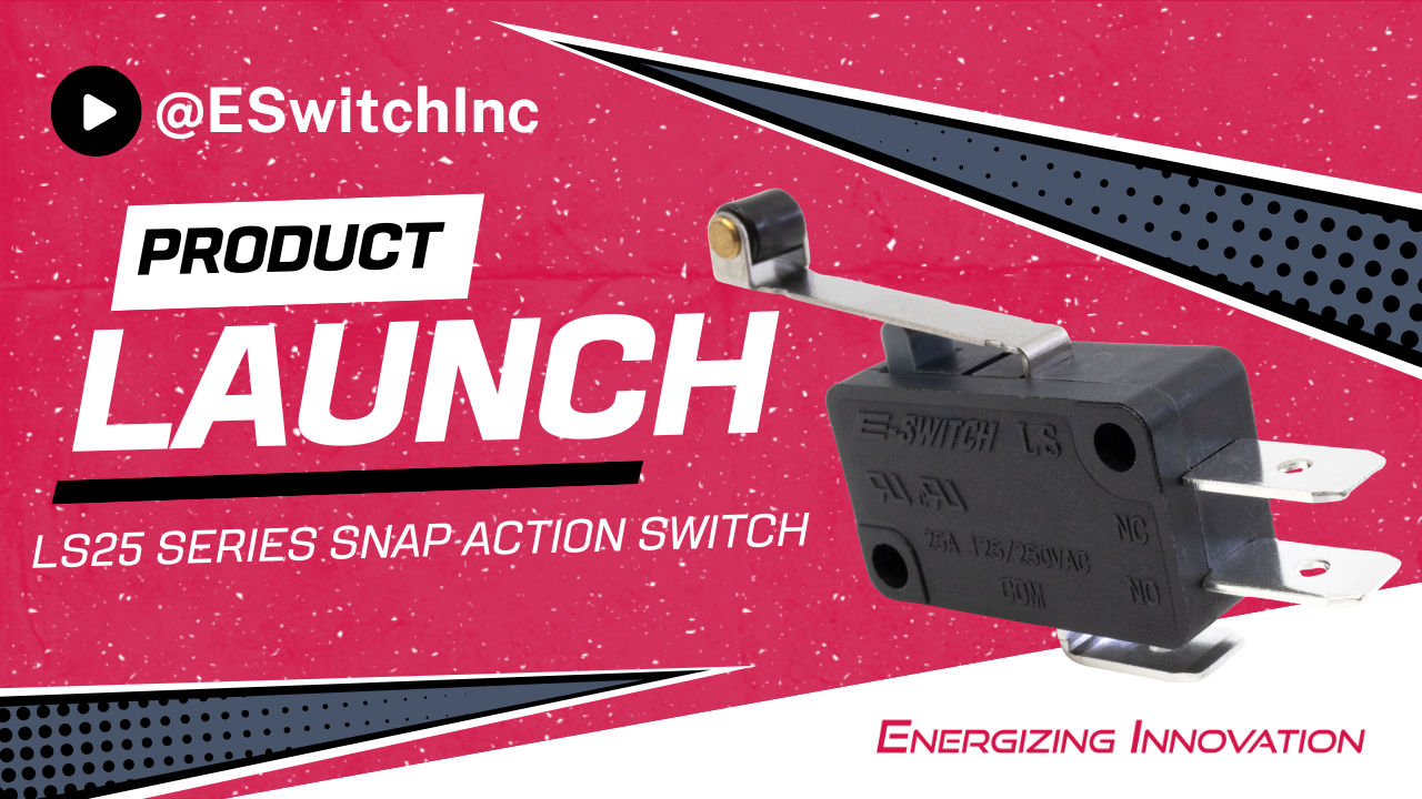 High Current Snap Action Switch Ls25 Series
